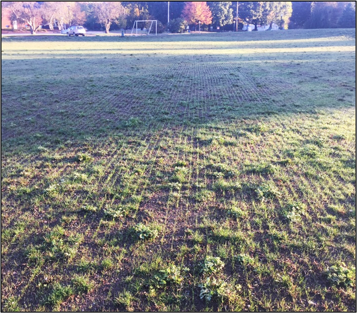 Best Management Practices for Pesticide-Free, Cool-Season Athletic ...